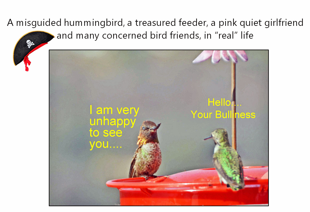 IX. The Adventure of Pirate the Incorrigible Hummingbird | Happy ...
